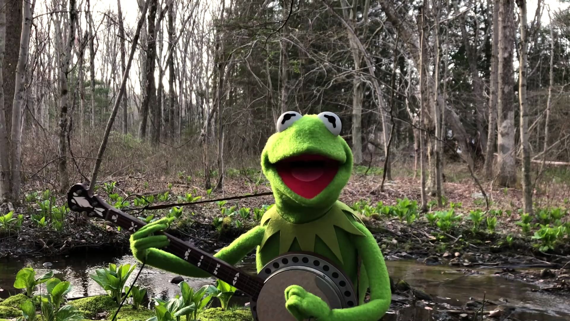 A Special Performance of Rainbow Connection from Kermit the Frog | The ...