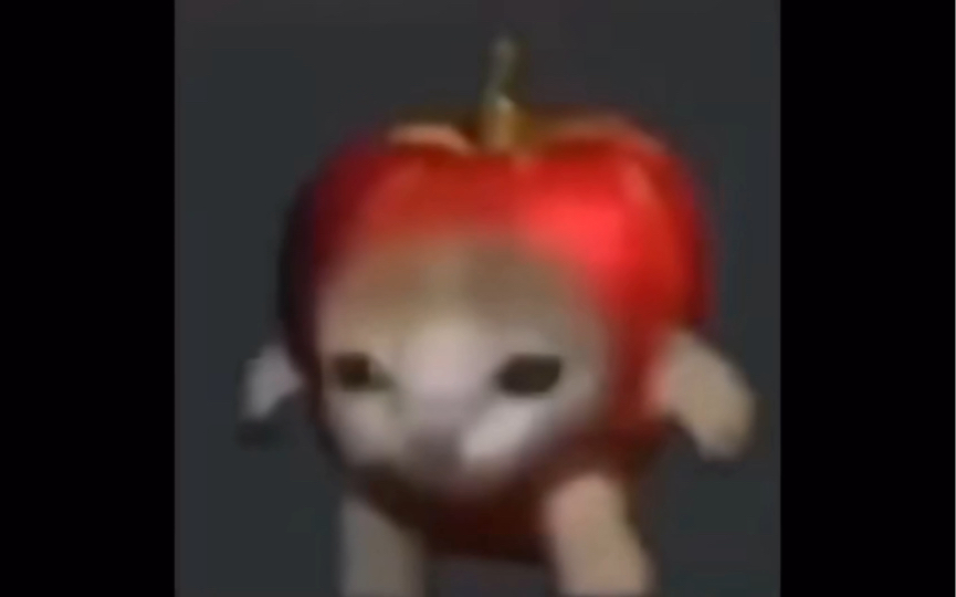 The Apple Cat?_哔哩哔哩_bilibili