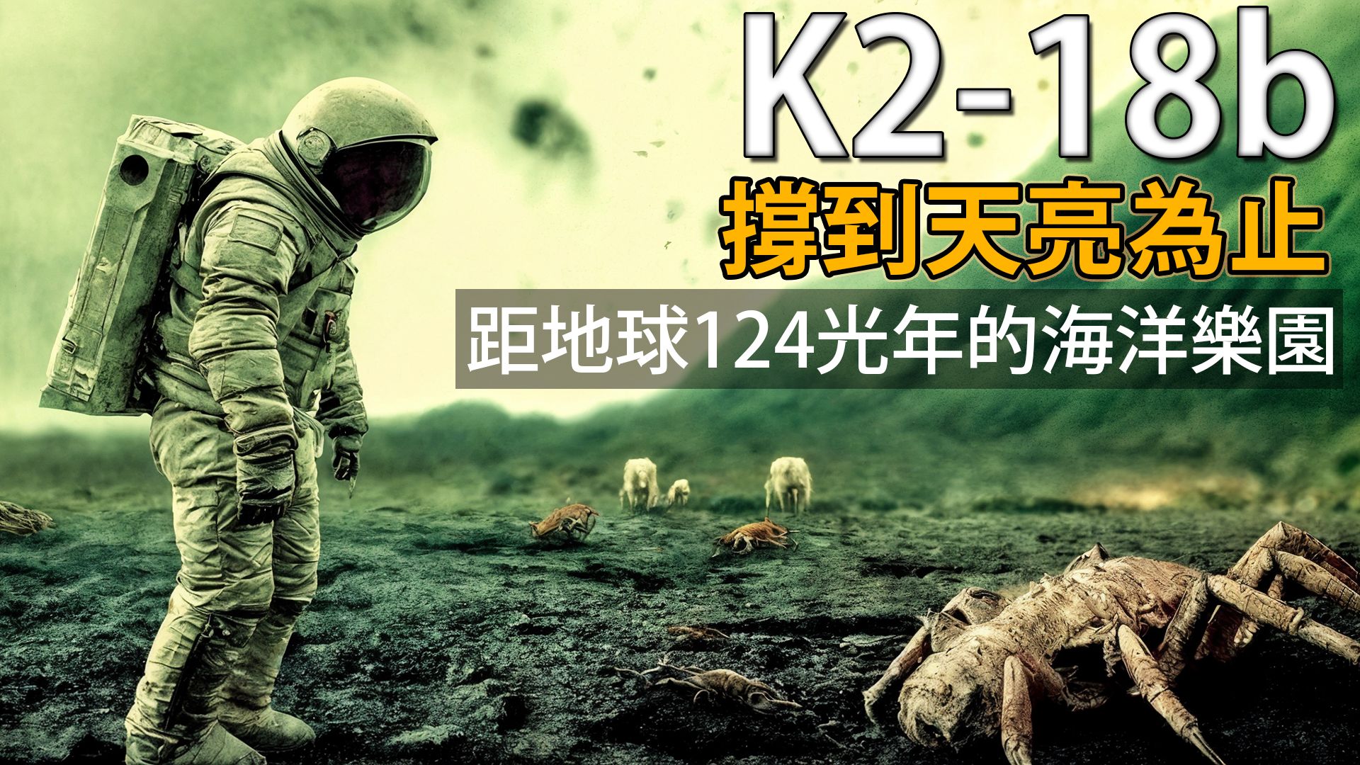 K2 18 b：奇迹与残酷并存的星球-TopChan_Official-TopChan_Official-哔哩哔哩视频