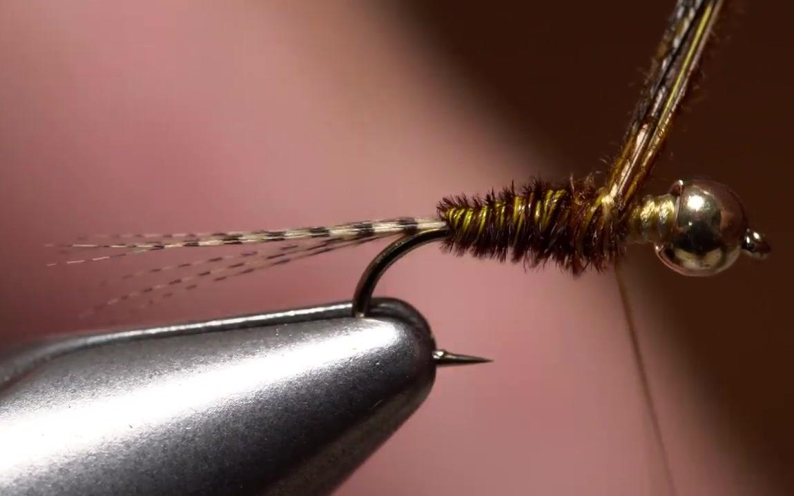 SBR Sulphur Nymph_哔哩哔哩_bilibili