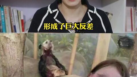 Chanyeol Ferret Club