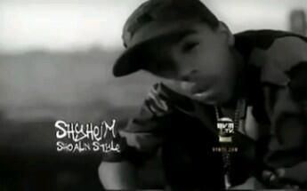 Shyheim Shaolin Style