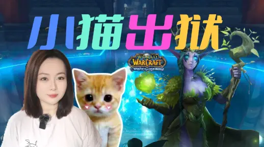 诺森德猫咖 | 还有猫德不会打奥杜尔? [WLK怀旧服]_哔哩哔哩bilibili_魔兽世界_攻略