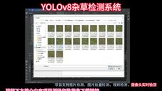 基于深度学习的杂草检测系统（YOLOv8+YOLO数据集+UI界面+Python项目源码+模型） - 哔哩哔哩