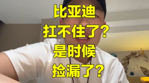 还看什么赛那看什么GL8看什么格瑞维亚，腾势D9跌到谷底了_哔哩哔哩_bilibili