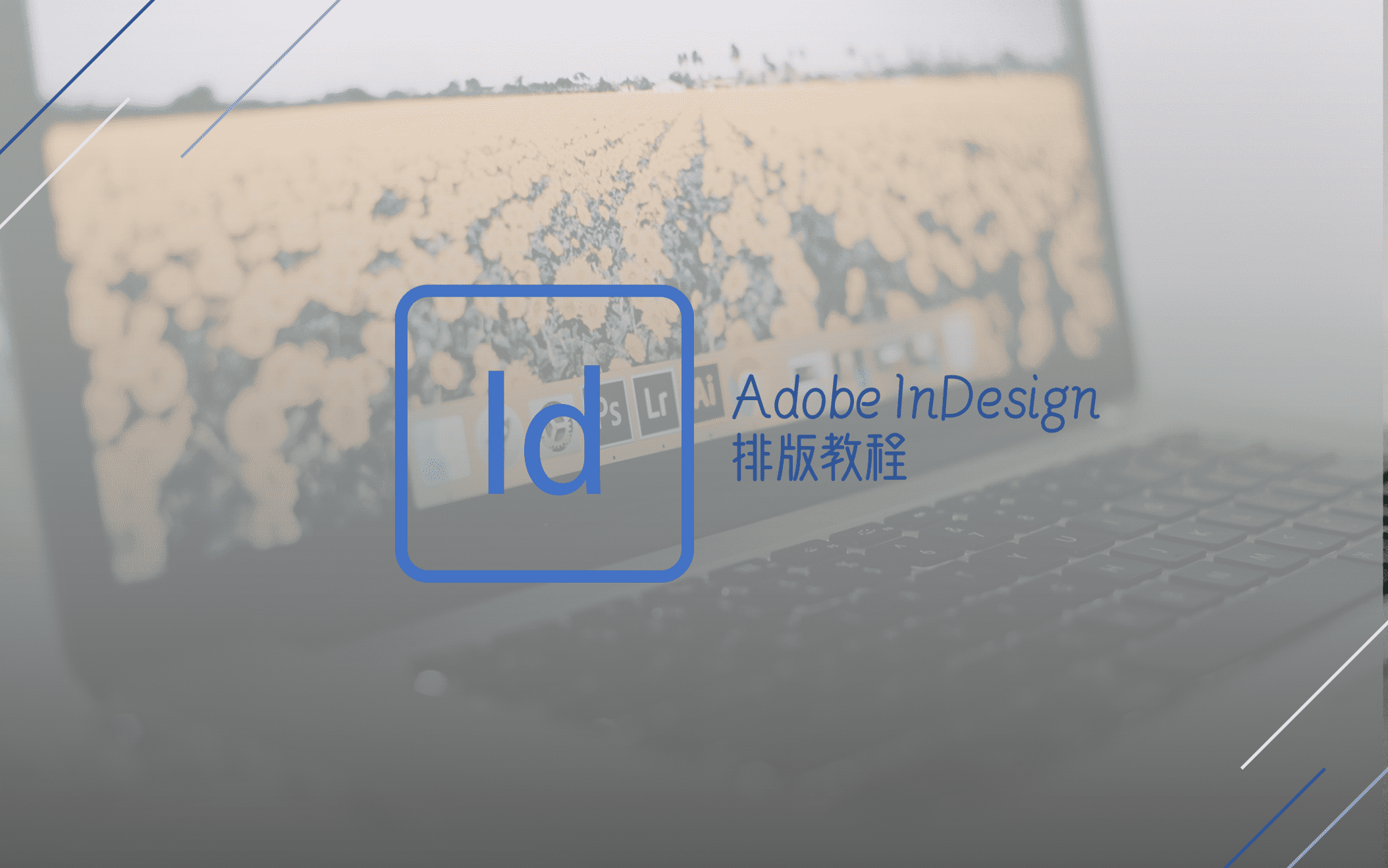Adobe ID教程_哔哩哔哩_bilibili