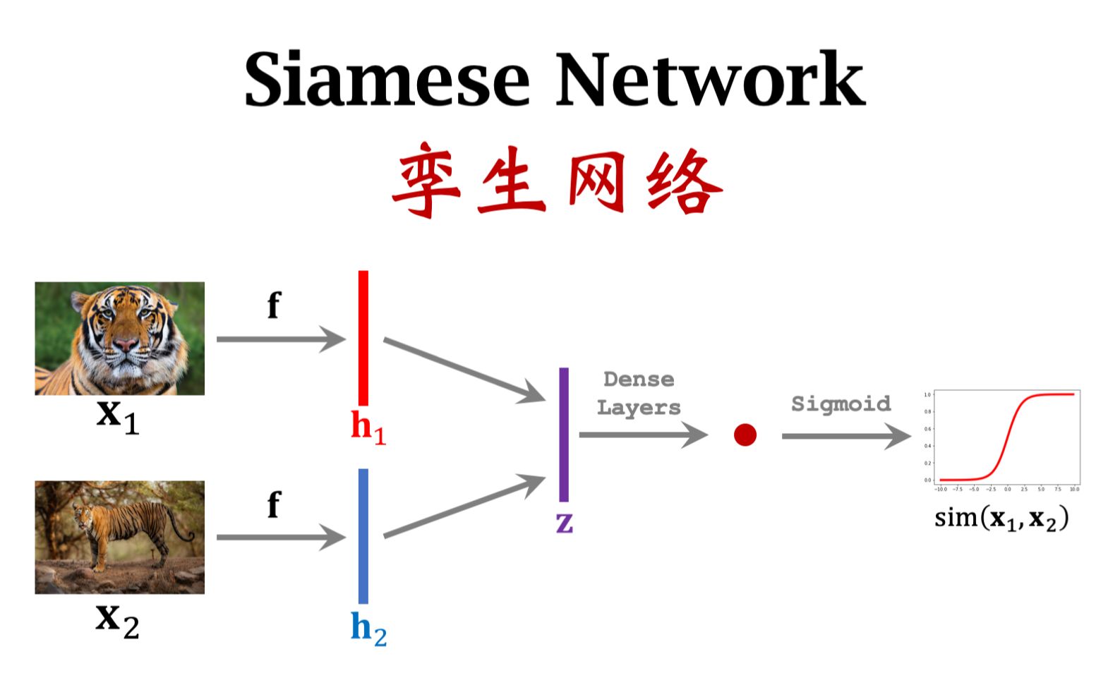 Few-Shot Learning (2/3): Siamese Network (孪生网络)_哔哩哔哩_bilibili