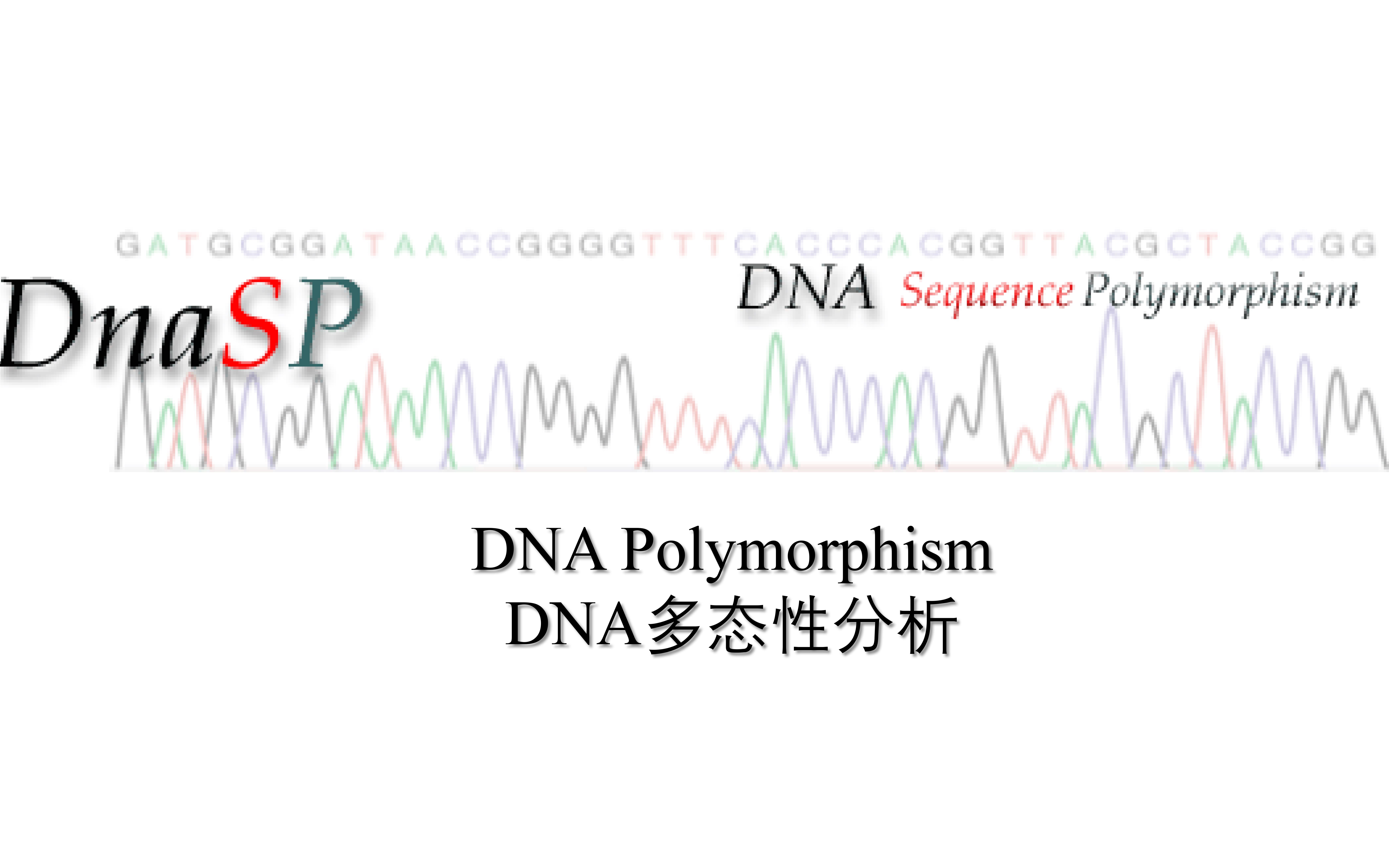 DNAsp_DNA Polymorphism（DNA多态性分析）_哔哩哔哩_bilibili