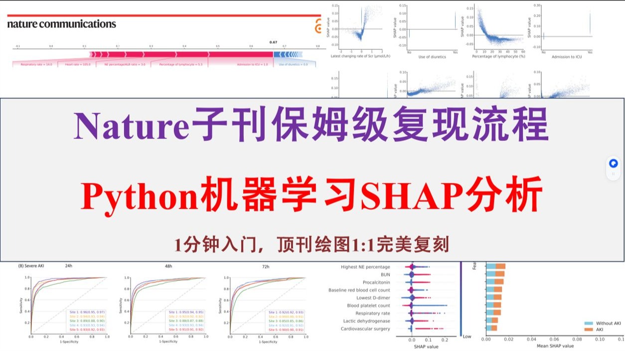 Python机器学习SHAP分析保姆级使用教程：Nature子刊讲解+重点提炼+Python代码展示！论文代码绘图神器来了！实验提速10倍不是 ...