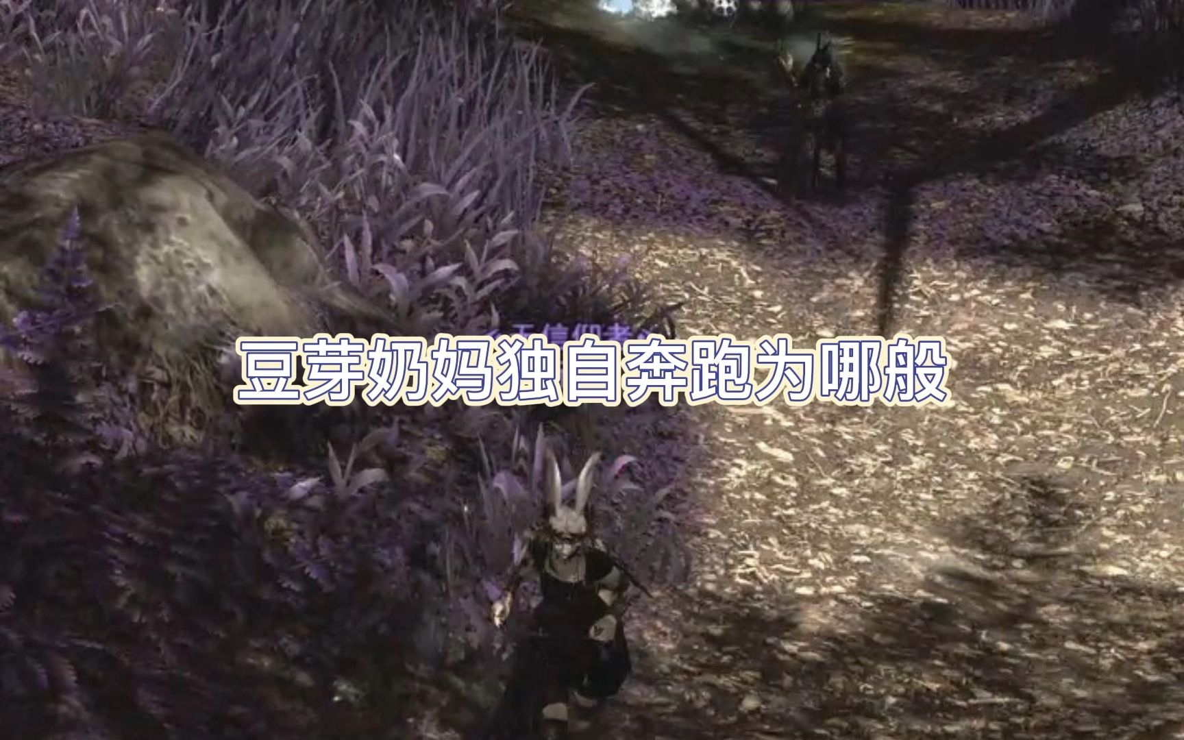 【FF14亲友整活】豆芽奶勇闯水潭村竟被追回家门口-听芸-听芸-哔哩哔哩视频