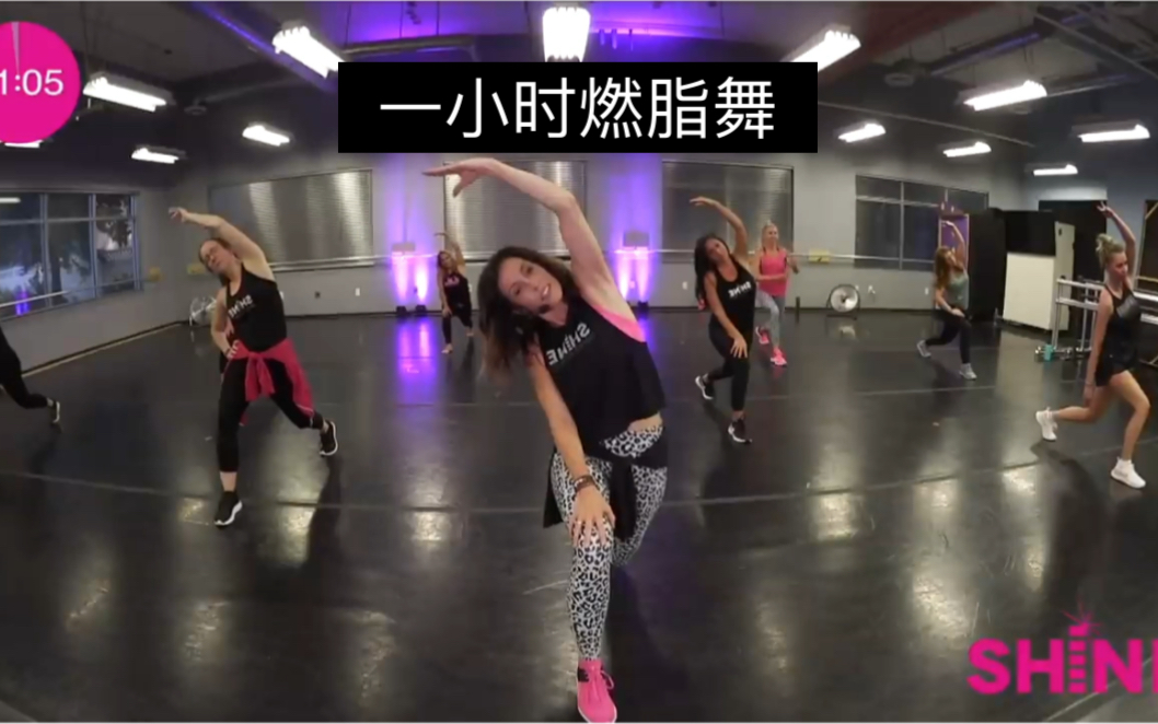 1小时健身燃脂舞！跳完超级开心！Shine Dance Fitness_哔哩哔哩_bilibili