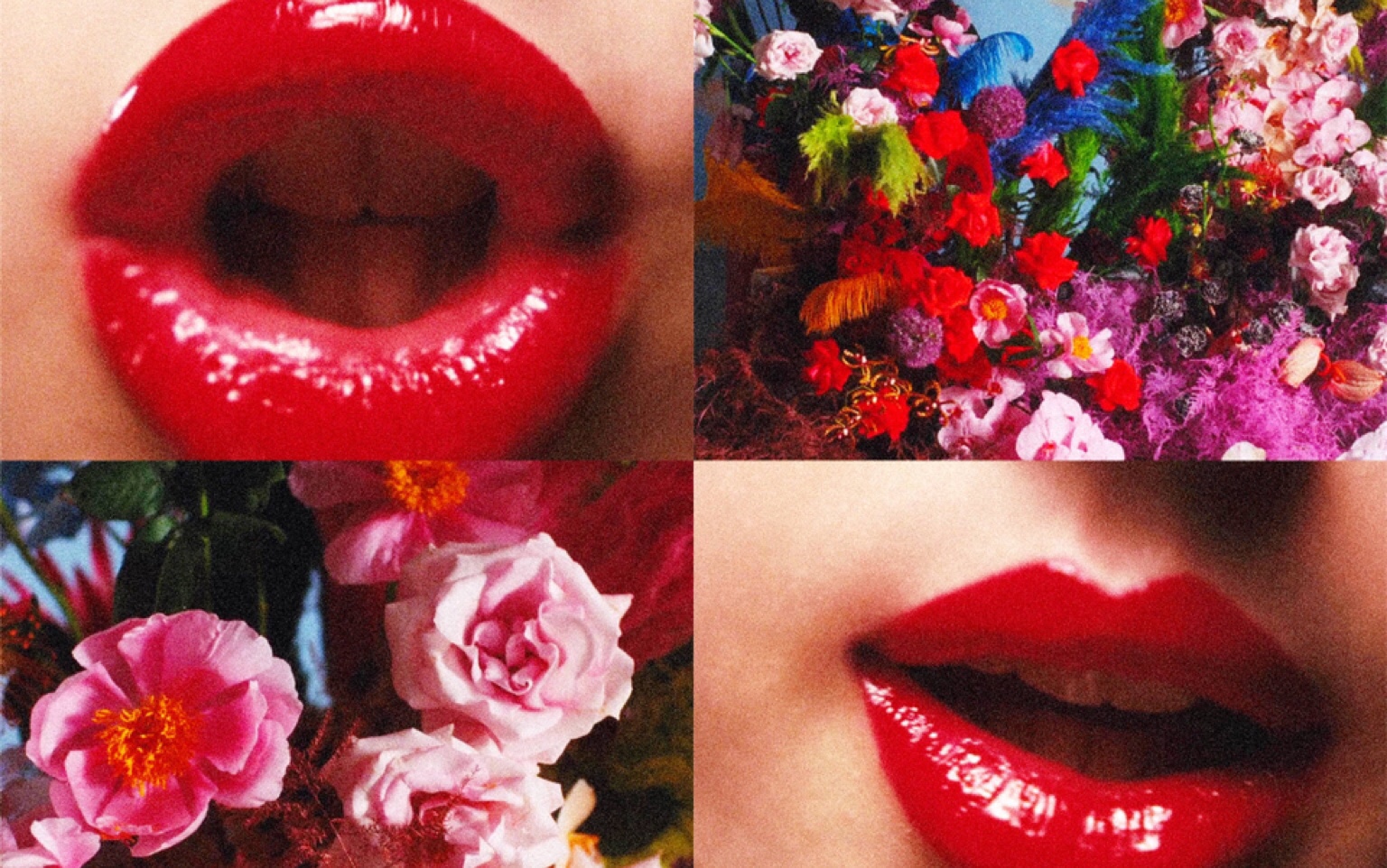 Volg_哔哩哔哩_bilibili