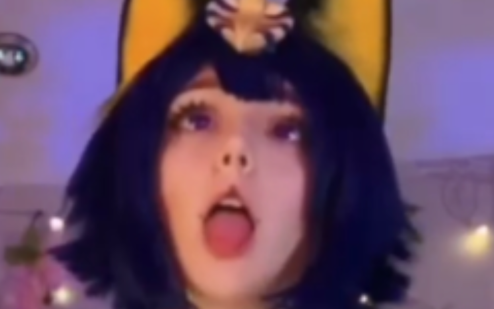 呆!骚猫哪里跑!吃我一棒!–视频大杂烩#91-乐于助人的小高-乐于助人的小高-哔哩哔哩视频