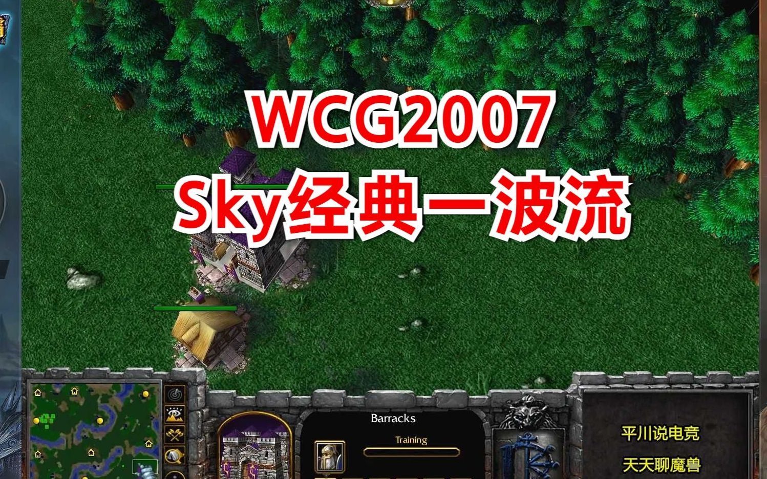Sky经典一波流，Grubby能抗住么？WCG2007 16进8第二场！魔兽争霸_哔哩哔哩bilibili