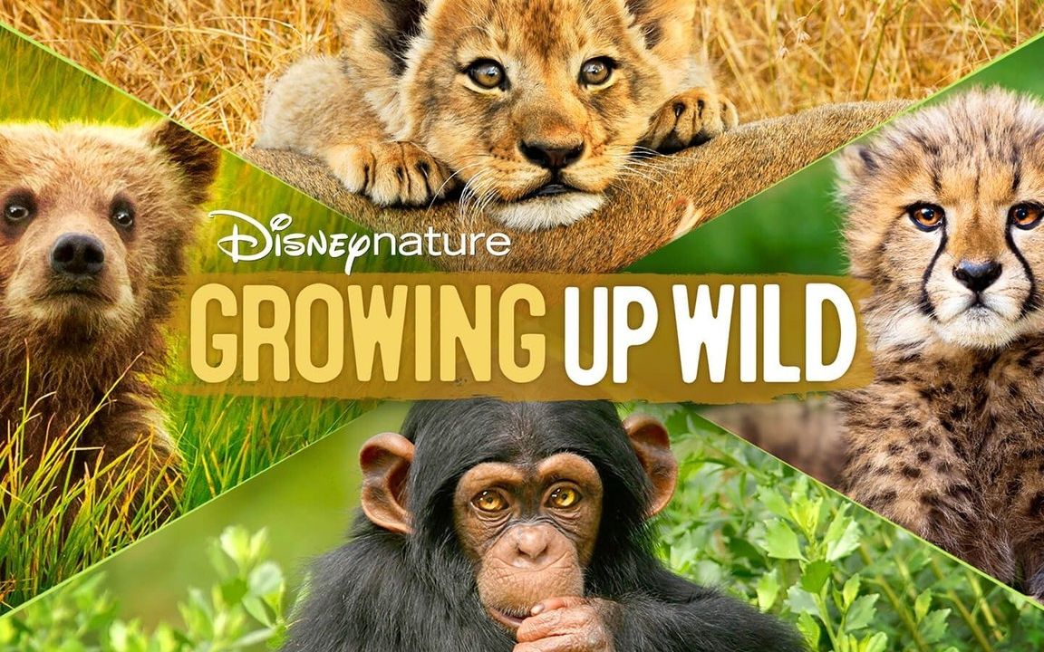 在野外成长 Growing Up Wild_哔哩哔哩_bilibili