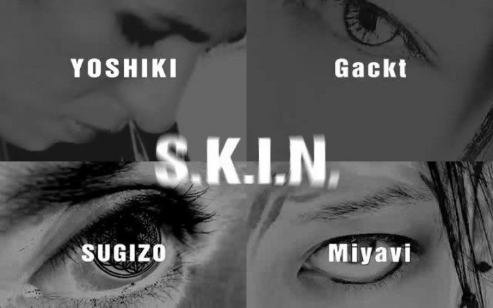 [专辑][S.K.I.N.]唯一的concert密录20则_哔哩哔哩_bilibili