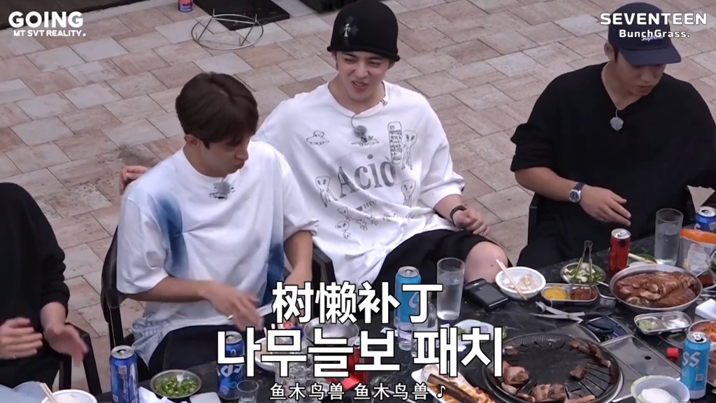 [GOING SVT]2024中字GOING SVT - 视频下载 Video Downloader