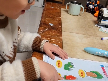 【leelele乐儿】视频已打包，欢迎围观！-leelele乐儿-leelele乐儿-哔哩哔哩视频