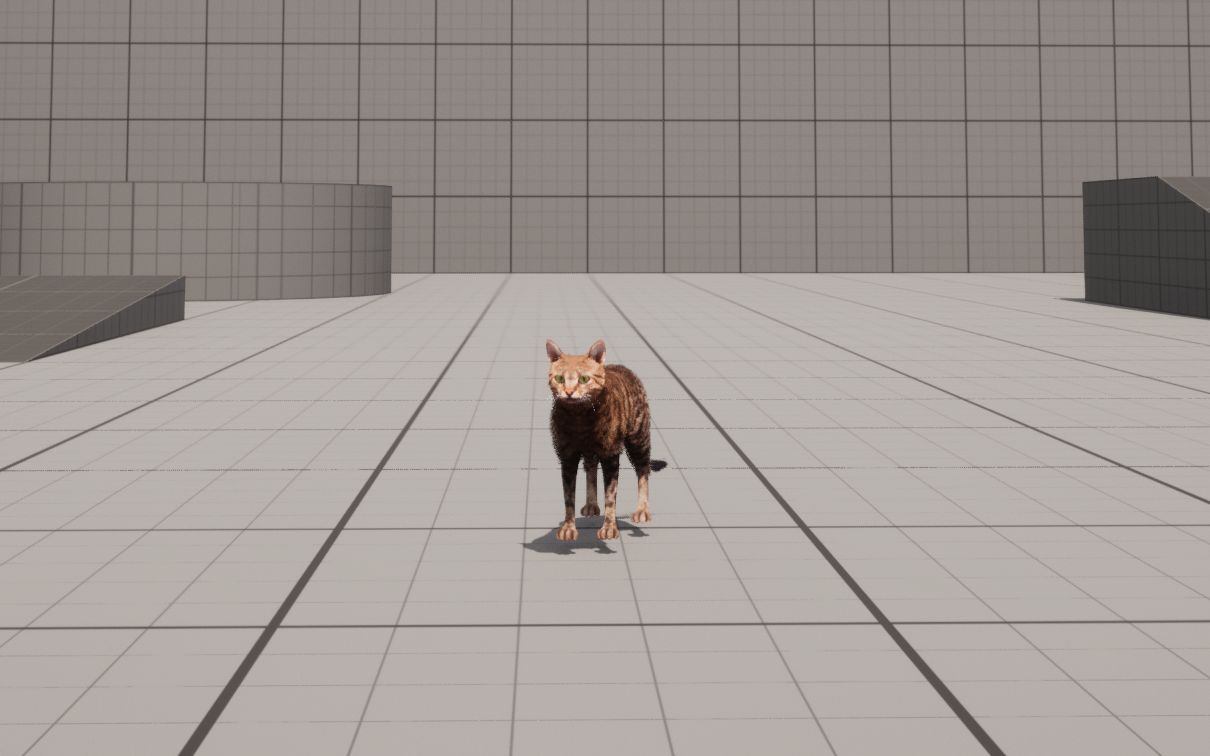 UE5动画蓝图模板教程（Animation Blueprint Template） - 视频下载 Video Downloader