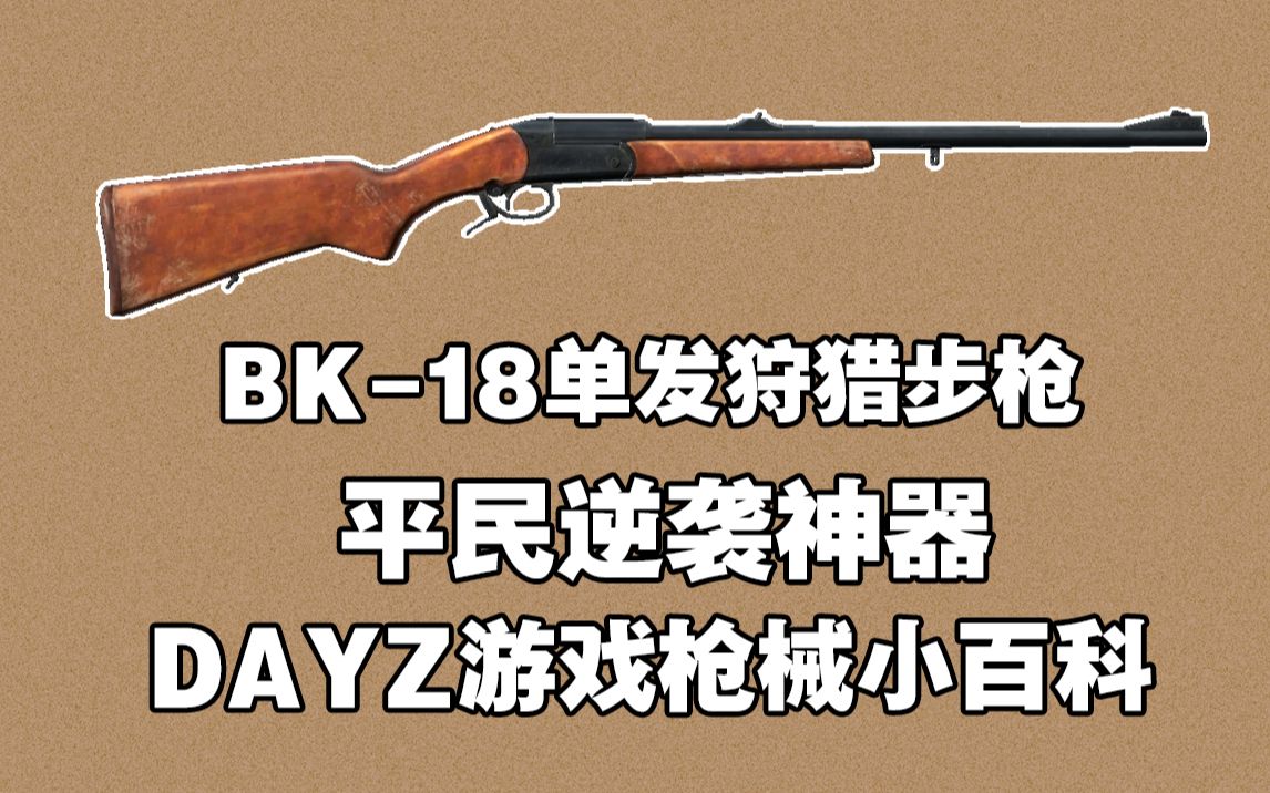 DAYZ游戏枪械小百科-平民逆袭神器-BK-18单发狩猎步枪 - 视频下载 Video Downloader