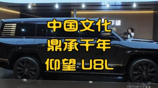 中国文化 鼎承千年 没有大哥能拒绝这样的仰望 U8L_哔哩哔哩_bilibili