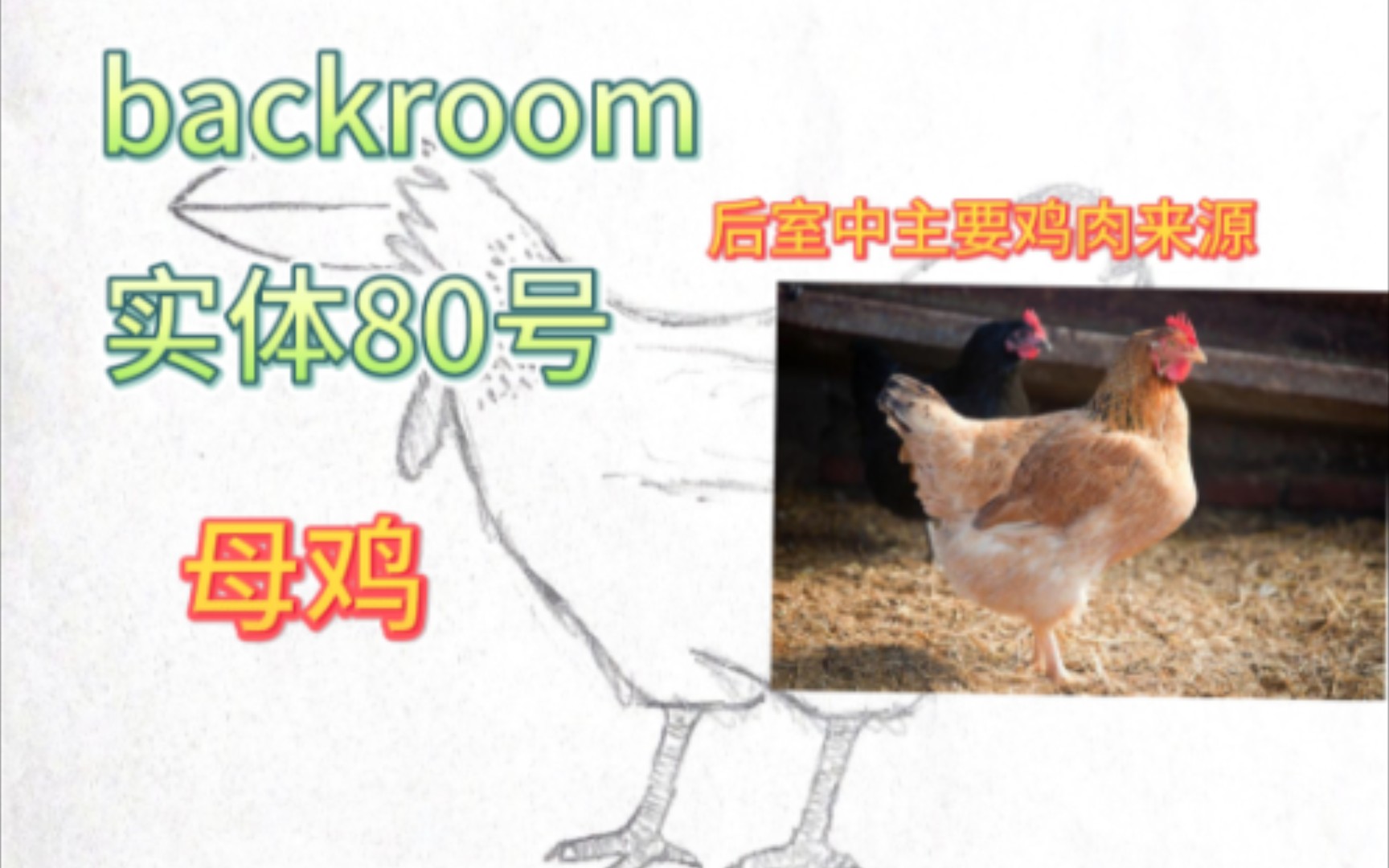 【backrooms】实体80号-母鸡。后室也能吃到鸡肉？-后室探险家-后室探险家-哔哩哔哩视频