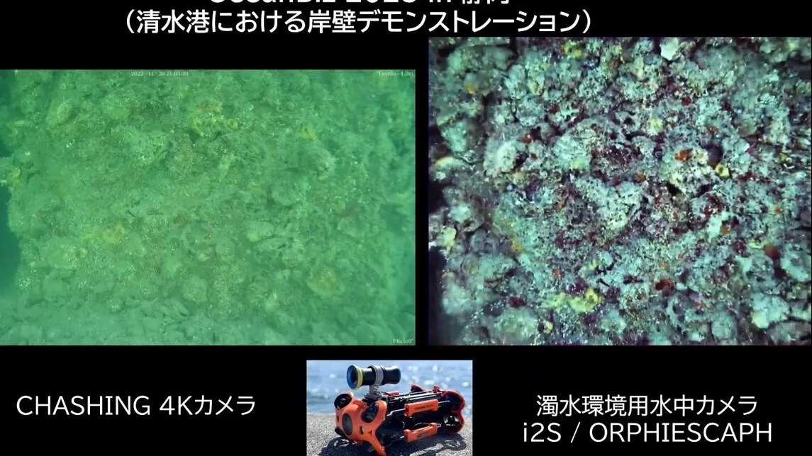 水下相机ORPHIE SCAPH浑水环境下码头演示视频_哔哩哔哩_bilibili