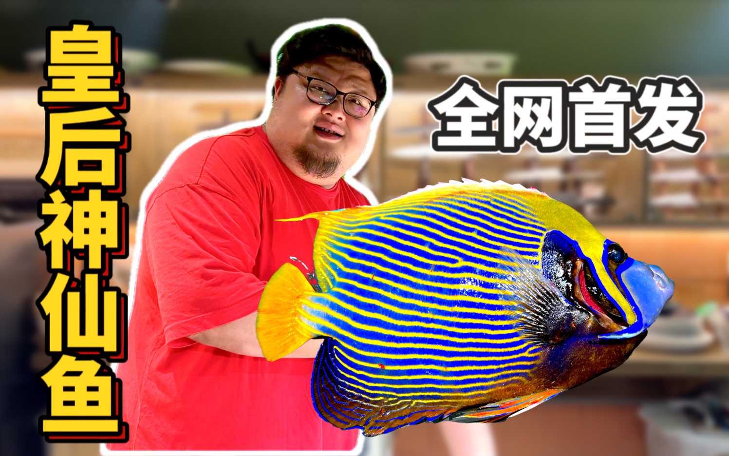 朋友们，我还是忍不住对它下手了！-Amoy硬邦帮-Amoy硬邦帮-哔哩哔哩视频