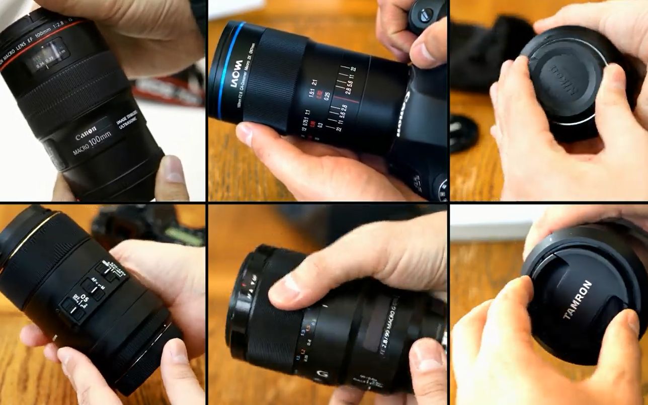 它为什么能获得摄影界“奥斯卡”的器材大奖？来看看老蛙100mmF2.8同5支百微镜头的PK—— 来自Christopher Frost ...