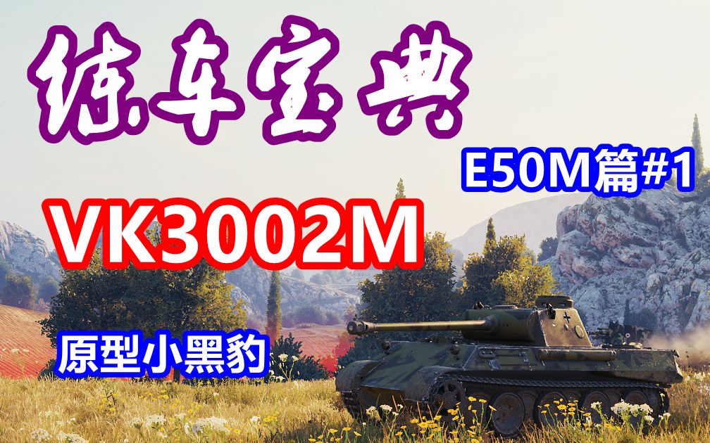 【坦克世界】练车宝典E50M篇#1：VK3002M，原型小黑豹_哔哩哔哩_bilibili