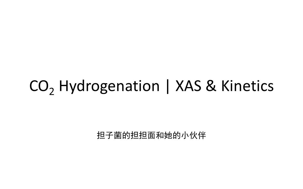 单原子二氧化碳加氢的随机讨论 | 催化剂结构与机理 | XAS Case Study-担子菌的担担面-担子菌的担担面-哔哩哔哩视频