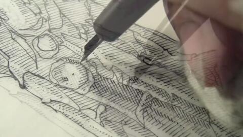 Dan Nelson Cross Hatching