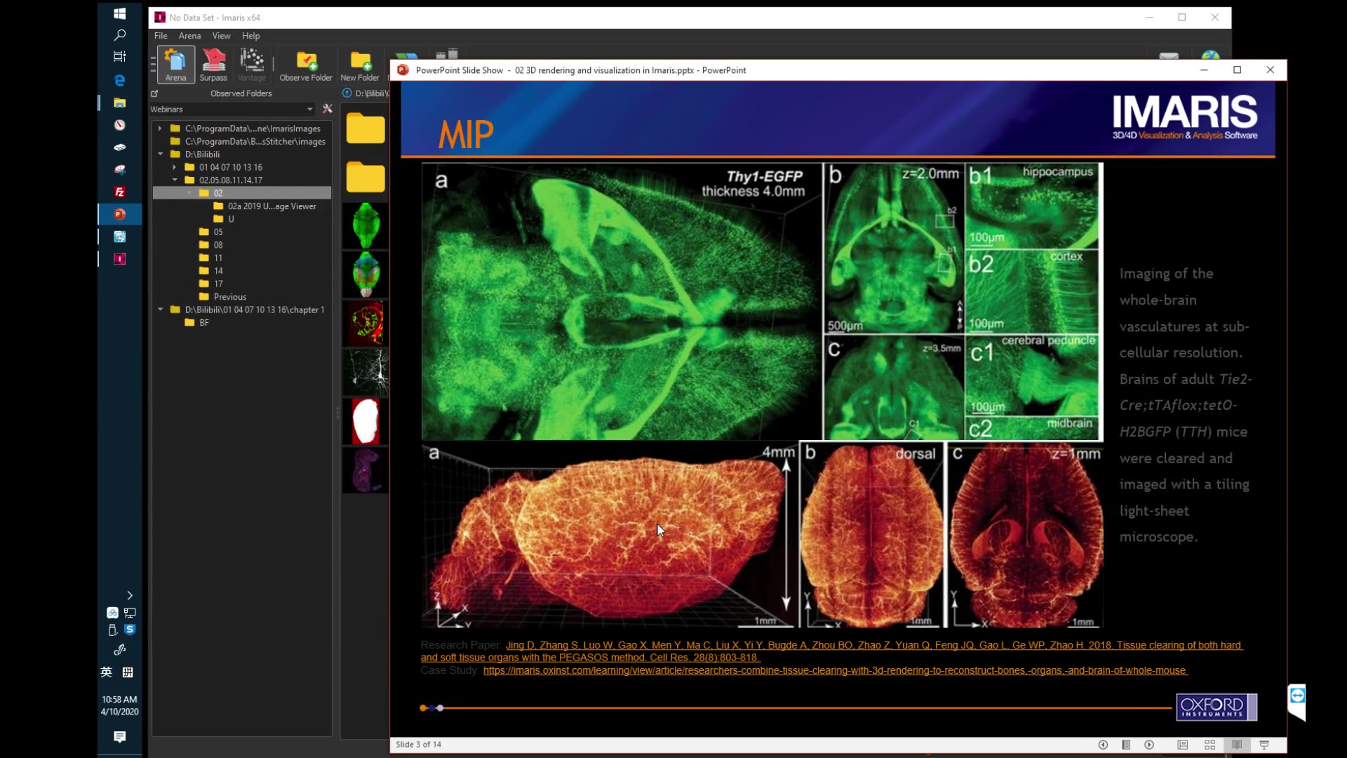 3D rendering and visualization in Imaris_哔哩哔哩_bilibili