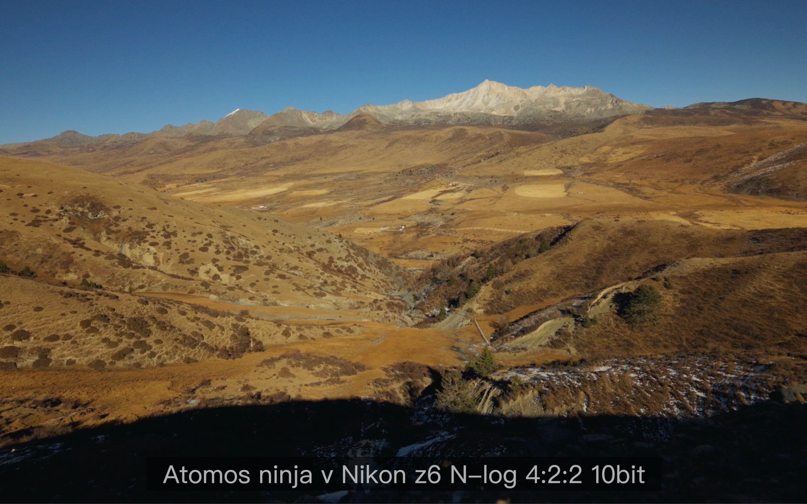 Atomos ninja v搭配Nikon z6外录Nlog还原调色测试视频_哔哩哔哩_bilibili