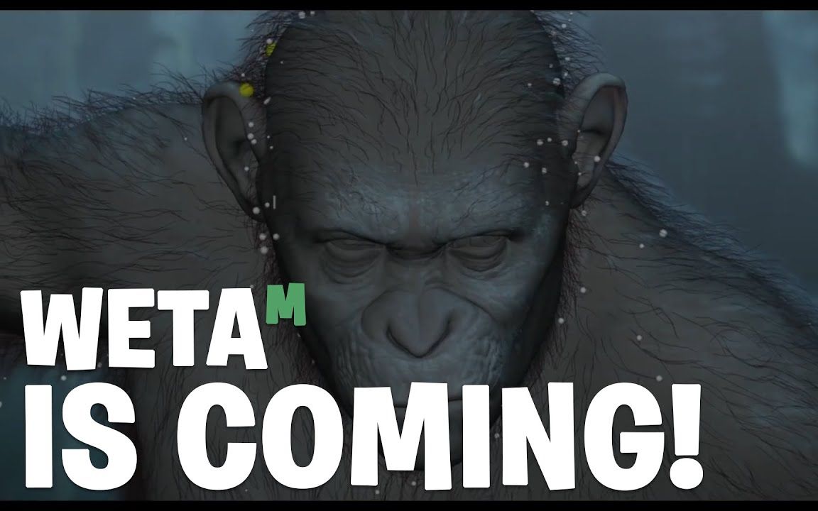 WetaM 来了！_哔哩哔哩_bilibili