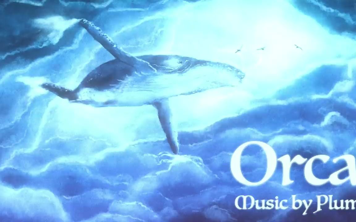 在海洋中畅游的虎鲸！Plum - Orca_哔哩哔哩_bilibili
