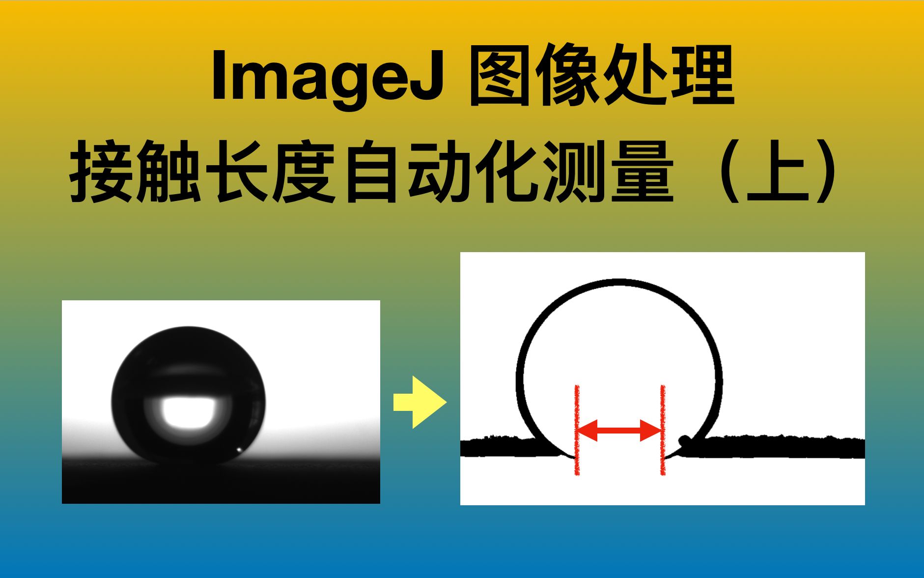『零基础』ImageJ图像处理 - 自动化长度测量_哔哩哔哩_bilibili