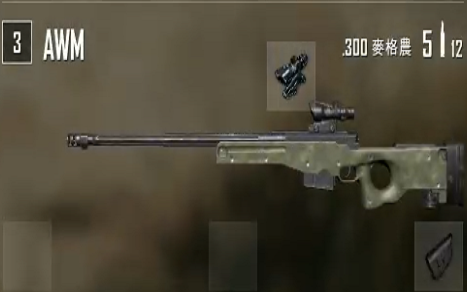当拥有AWM并开镜就是头时【绝地求生】_哔哩哔哩_bilibili
