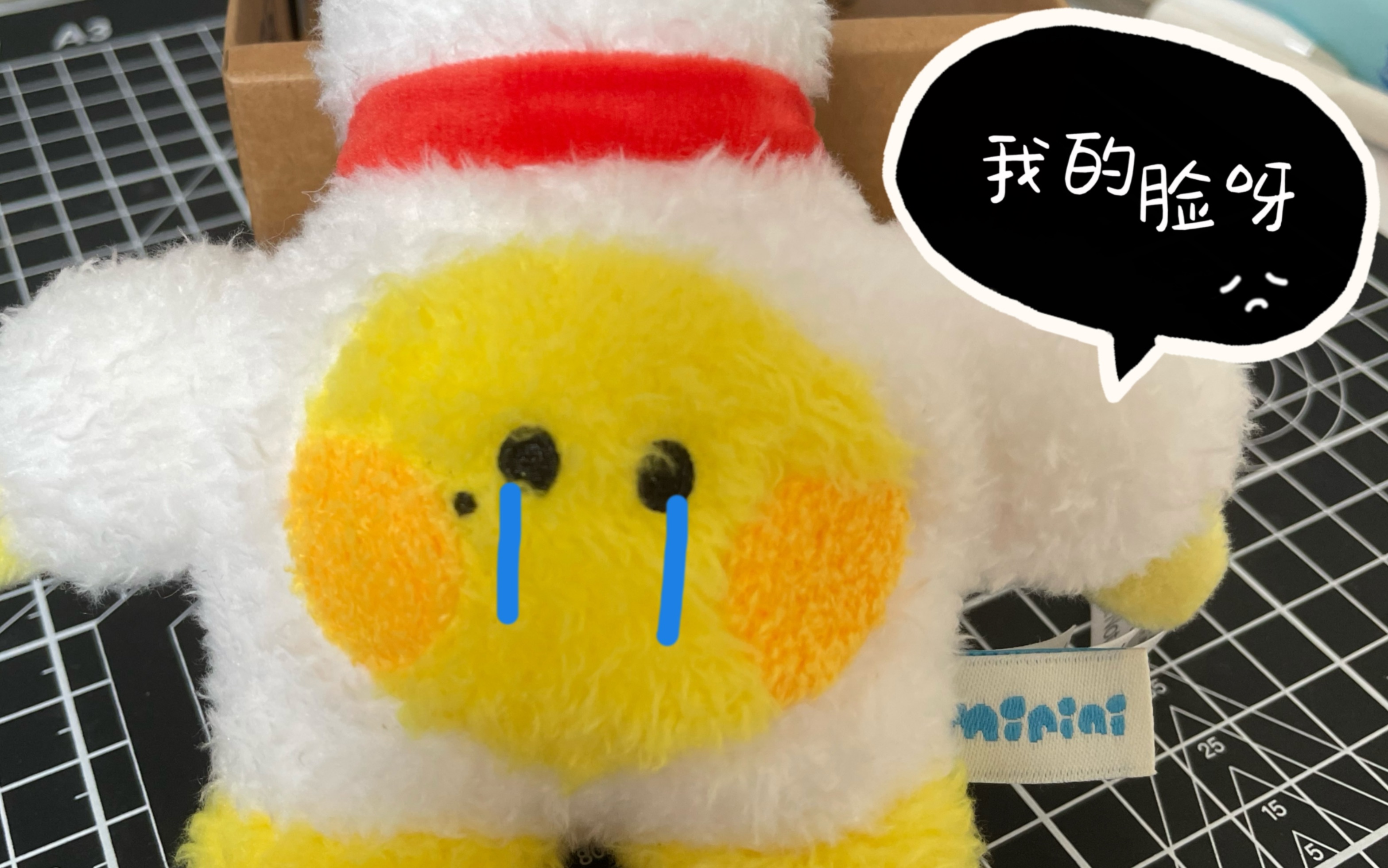 【开箱】TRUZ｜一只见面仅三小时的朴ROMY｜TREASURE_哔哩哔哩_bilibili