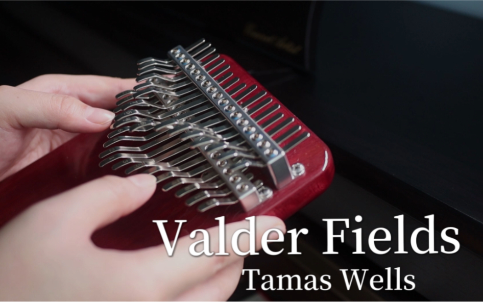 【34音拇指琴】《Valder Fields》Tamas Wells电影《白日梦想家》插曲-海引薄-海引薄-哔哩哔哩视频