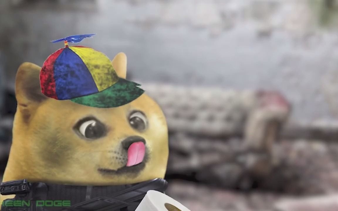 DOGE 2020_哔哩哔哩_bilibili