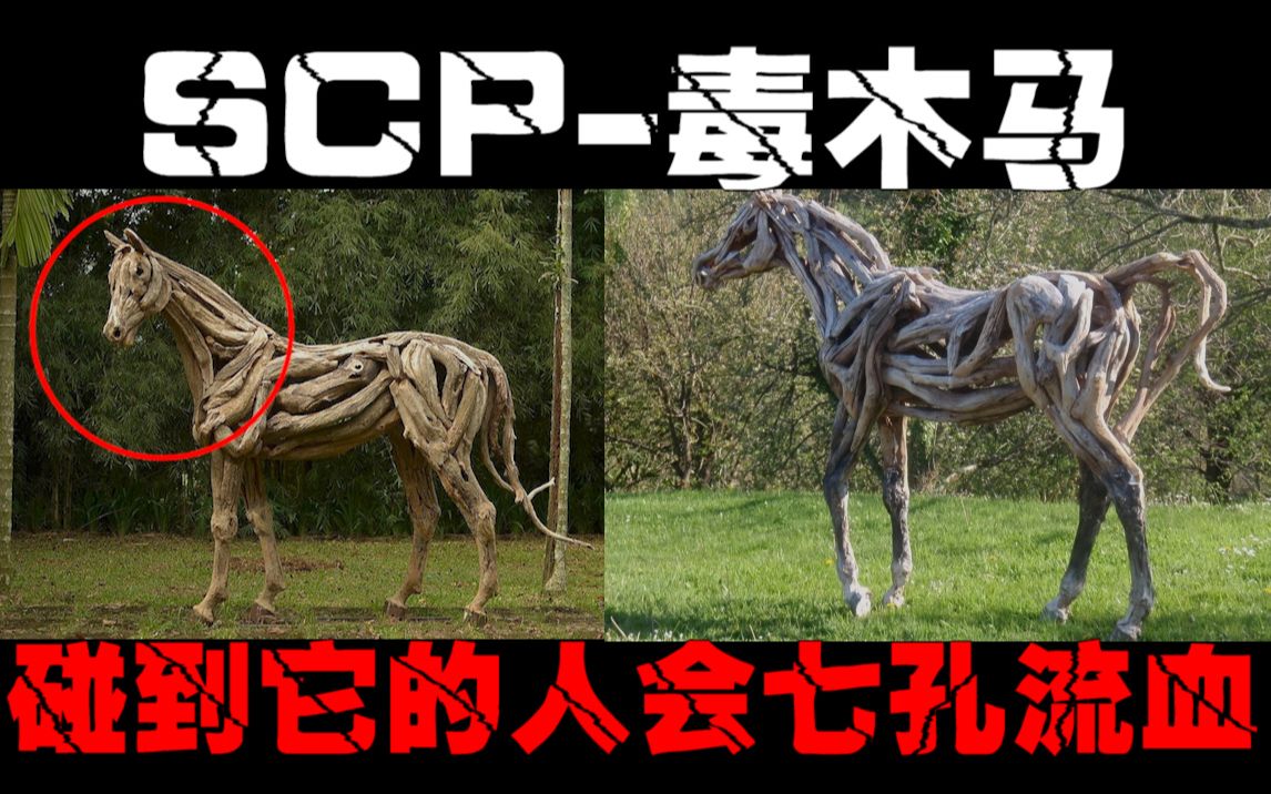 【SCP-805毒木马】这个马真心碰不得，碰了你会变成它，而且会皮肤溃烂。。。_哔哩哔哩_bilibili