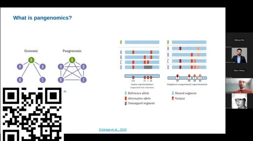 泛基因组讲座~Pangenome graph construction from genome alignments with ...