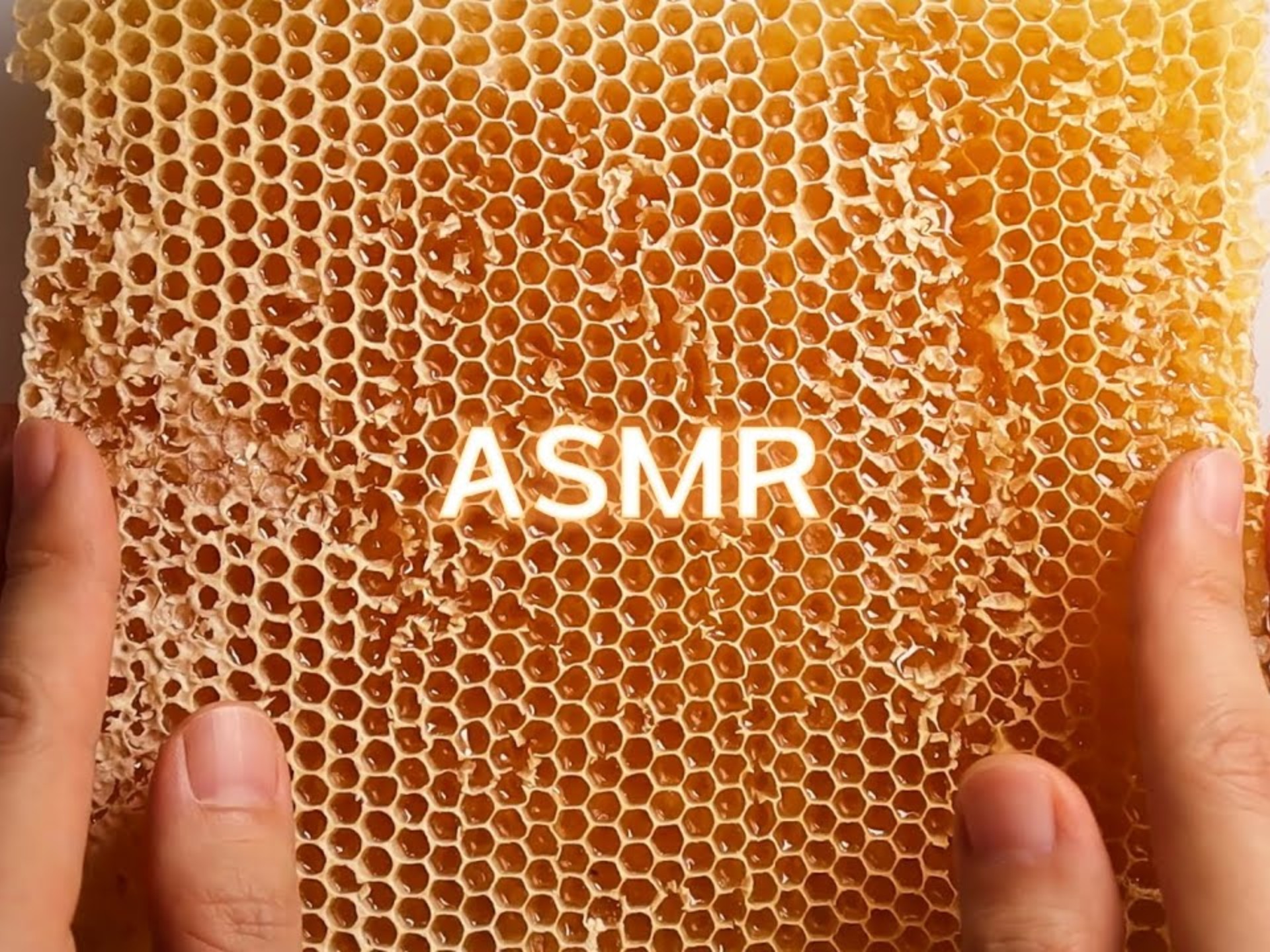 【Vito_助眠】触发｜ASMR适用于于多动症患者( 1920 X 1080 60fps )-YouTube助眠频道-YouTube助眠频道 ...