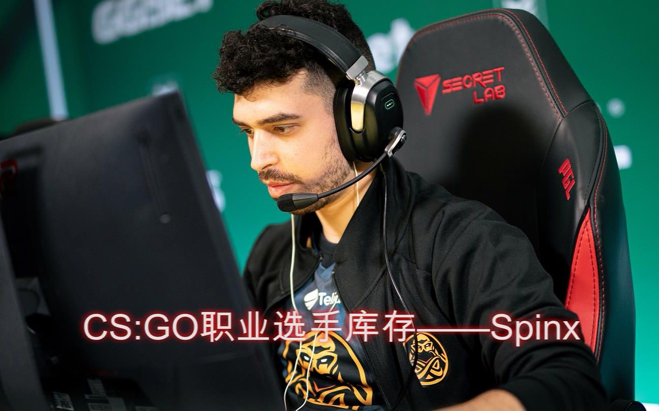 CS:GO职业选手库存——Spinx_CSGO_游戏集锦