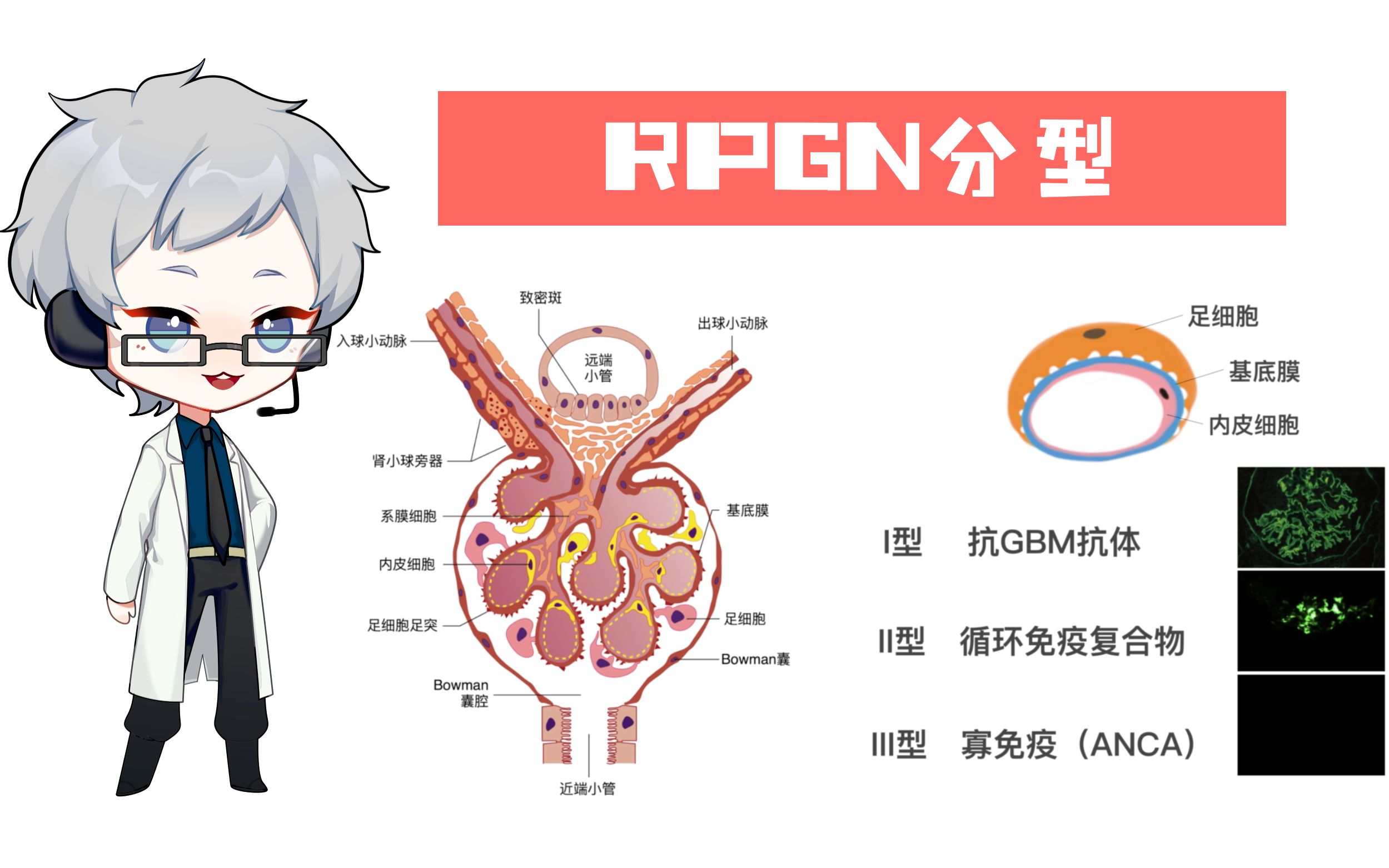 【清华Vup】一分钟课堂『RPGN分型』-Mio今天不想学习-Mio今天不想学习-哔哩哔哩视频