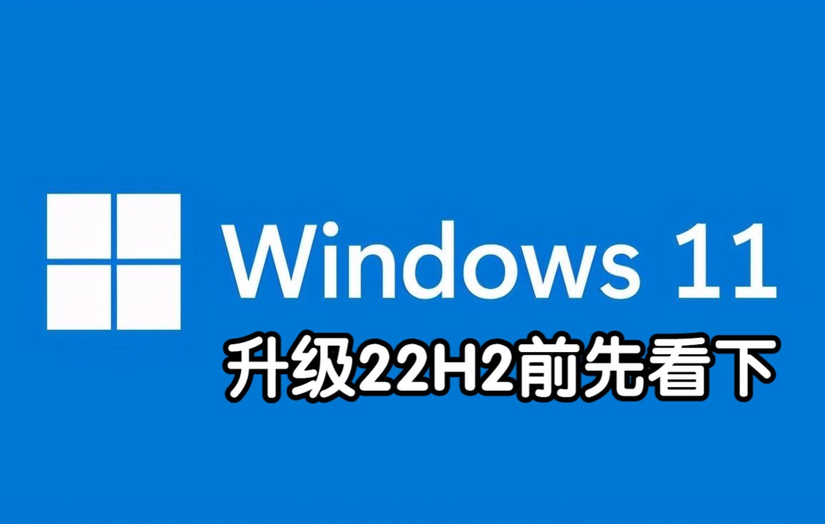 更新Windows11 22H2后遇到的一个恶心的Bug - 视频下载 Video Downloader
