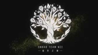 【SNH48】TEAM NII《应许之地》青钰雯生日公演20250614_哔哩哔哩_bilibili
