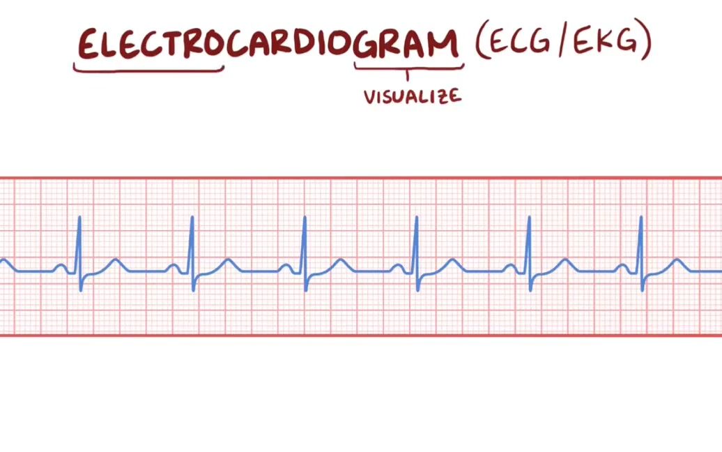 【搬运osmosis】Electrocardiography (ECG/EKG) - basics_哔哩哔哩_bilibili