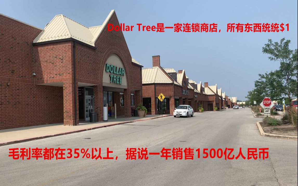 美国的一元店Dollar Tree零售业巨头，一年销售1500亿，购物天堂_哔哩哔哩_bilibili